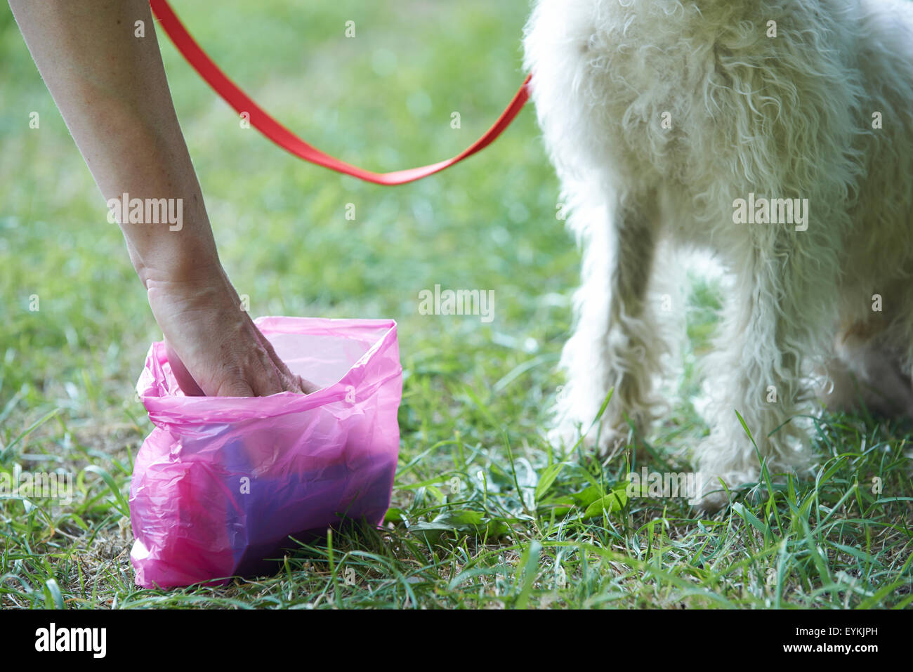 Human poo hi-res stock photography and images - Alamy