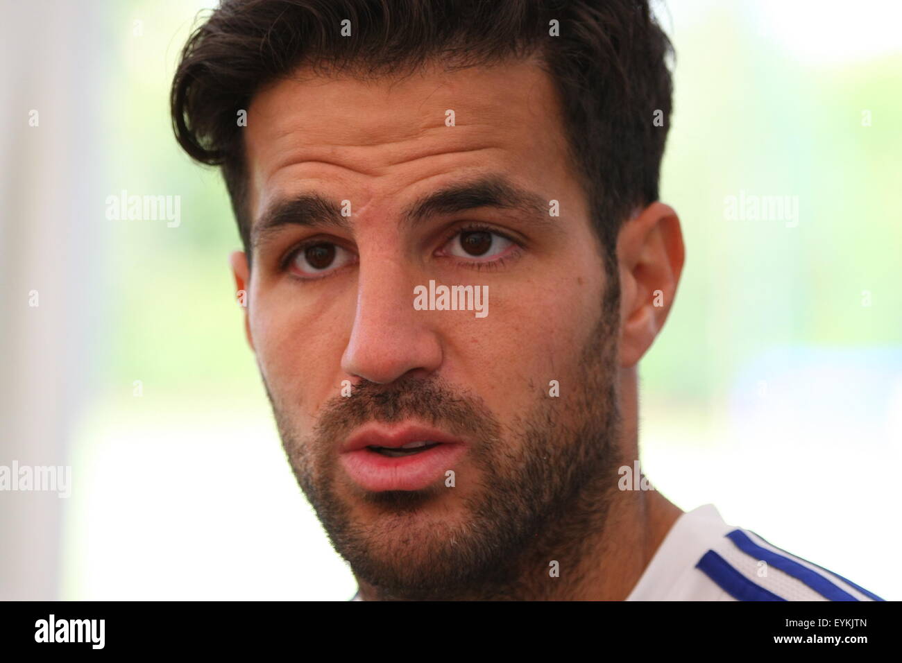 Portrait of Cesc Fabregas Chelsea Football Club's Spanish midfielder ...