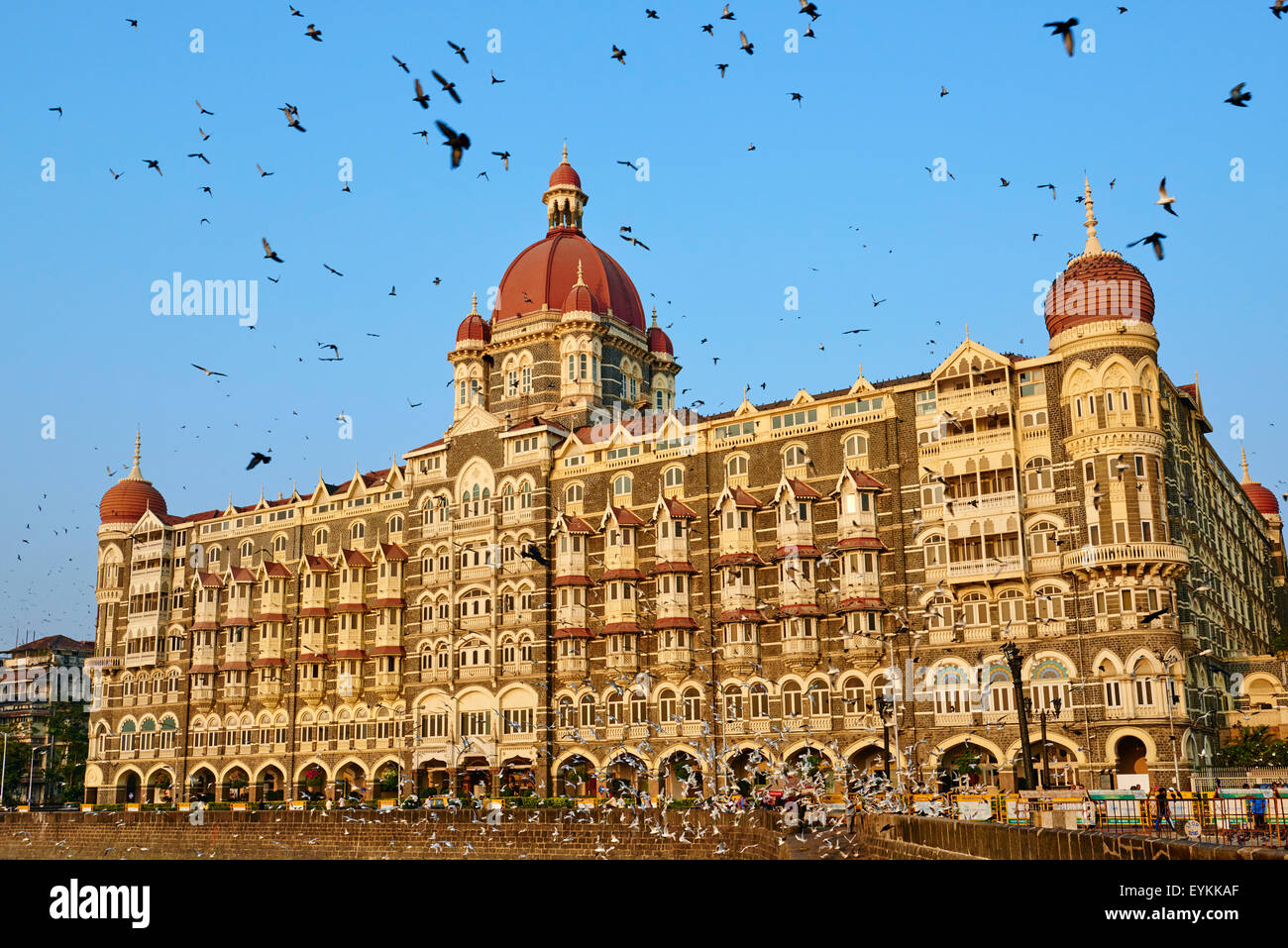 India, Maharashtra, Mumbai (Bombay), Taj Mahal Palace hotel Stock Photo ...