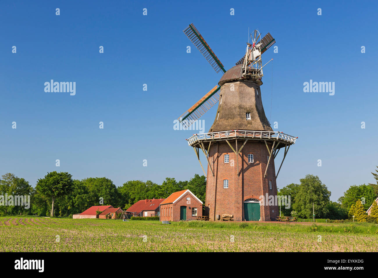 Windmill Holtland, three-storey gallery Dutchman, Holtland, East ...
