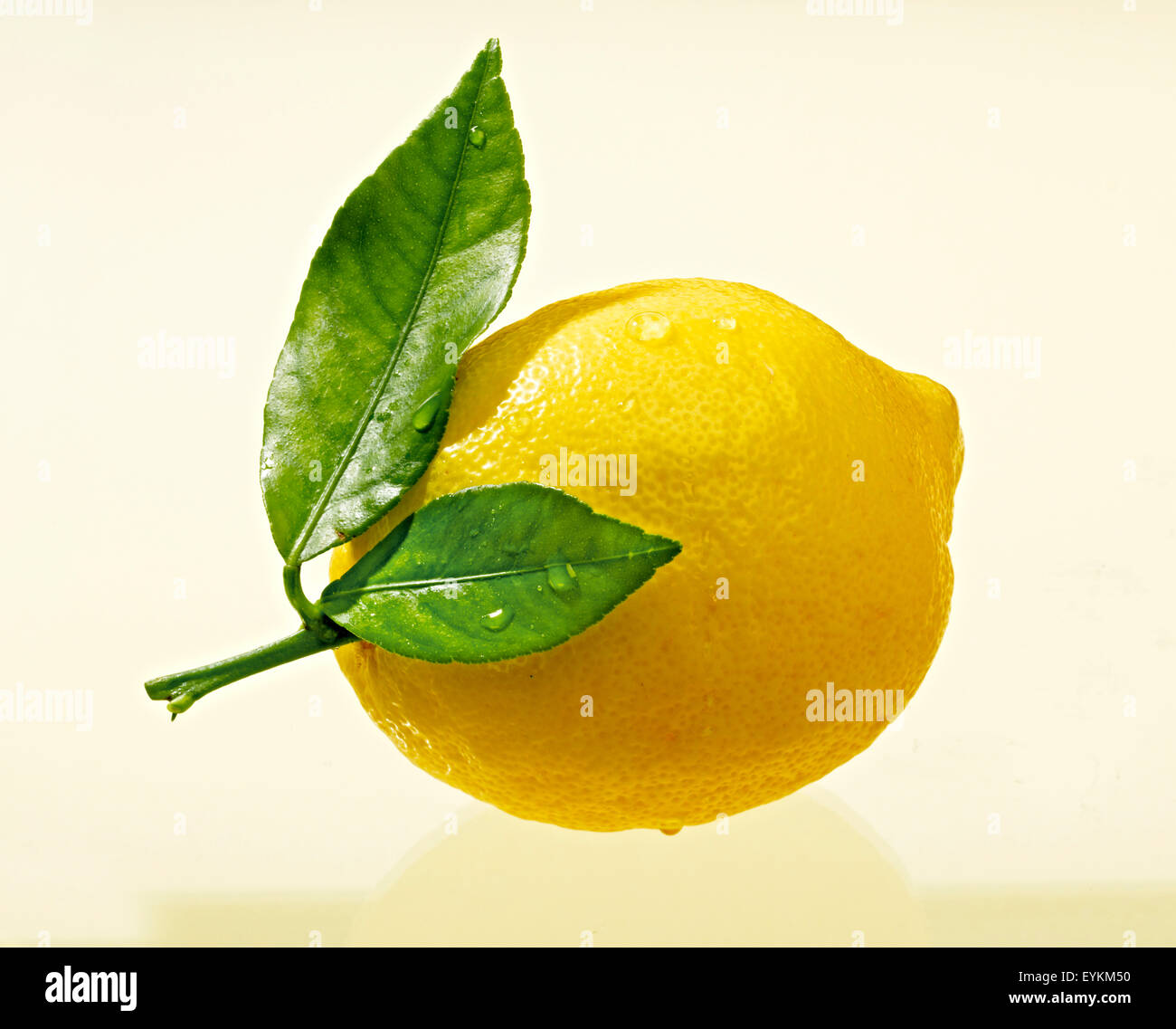 Lemon, leaves, single fruit, drop of water, colour ground, Stilllife ...