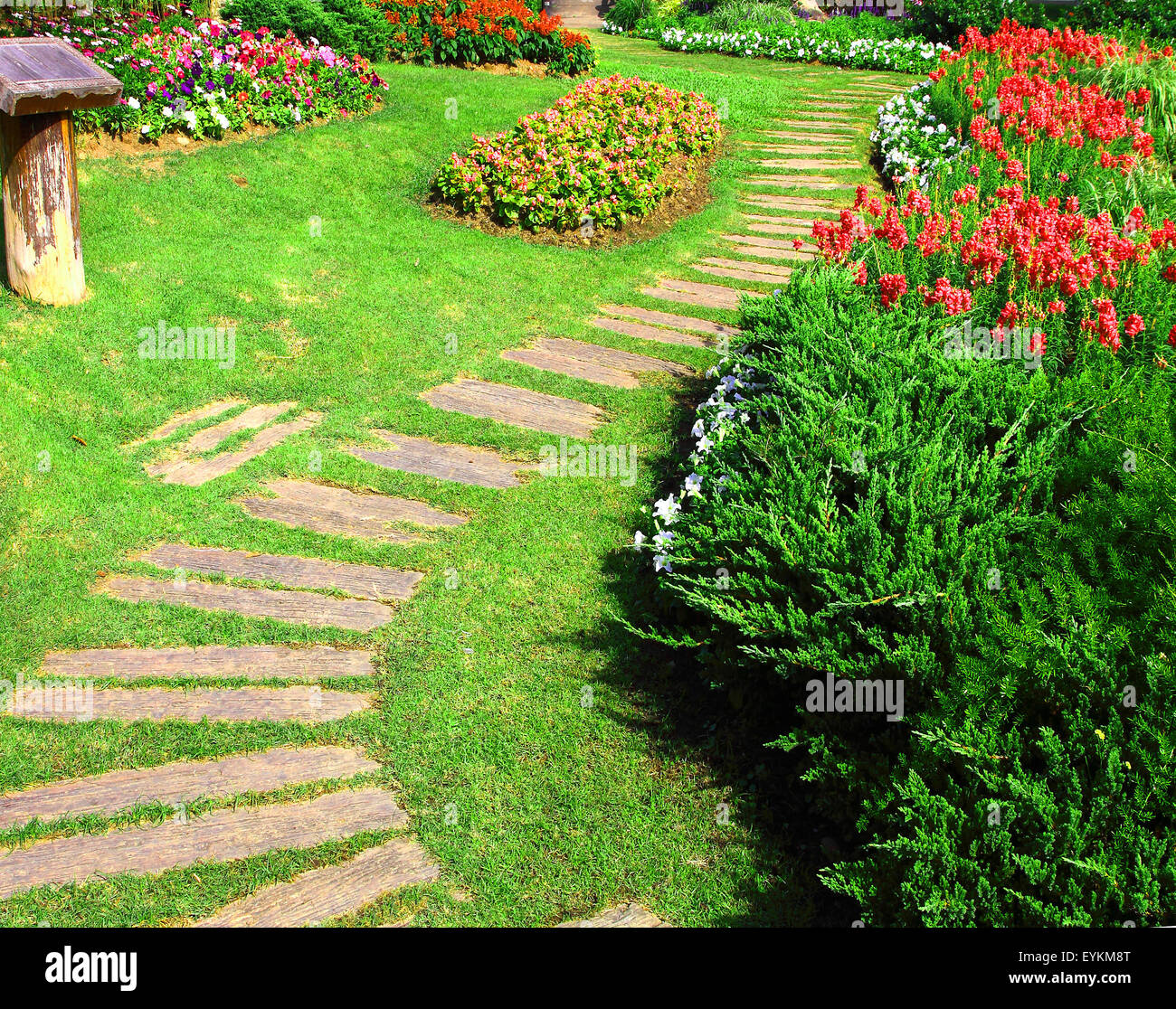 Ornamental Public Gardens and Bushes greenery and flowers Stock Photo ...