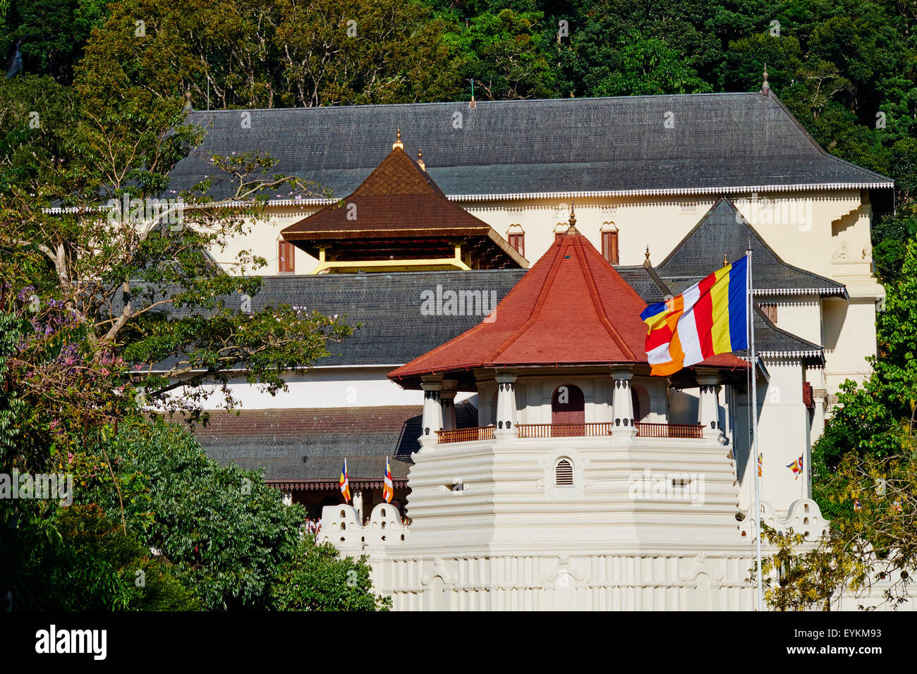Sri Lanka, Ceylon, North Central Province, Kandy, UNESCO World Heritage ...