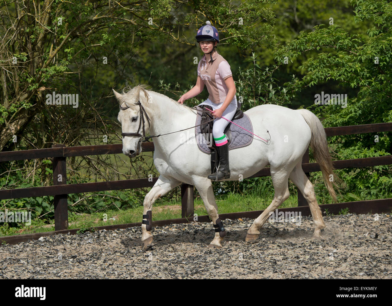 Ella Manning training her horse 'Turner' in a showjumping arena ...