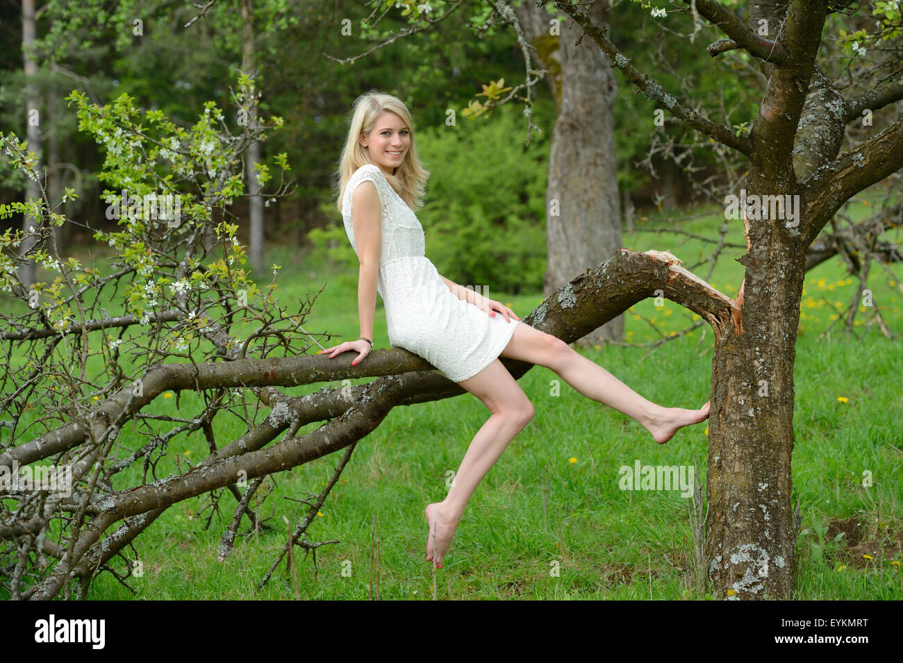 Young woman, branch, sit, eye contact Stock Photo - Alamy