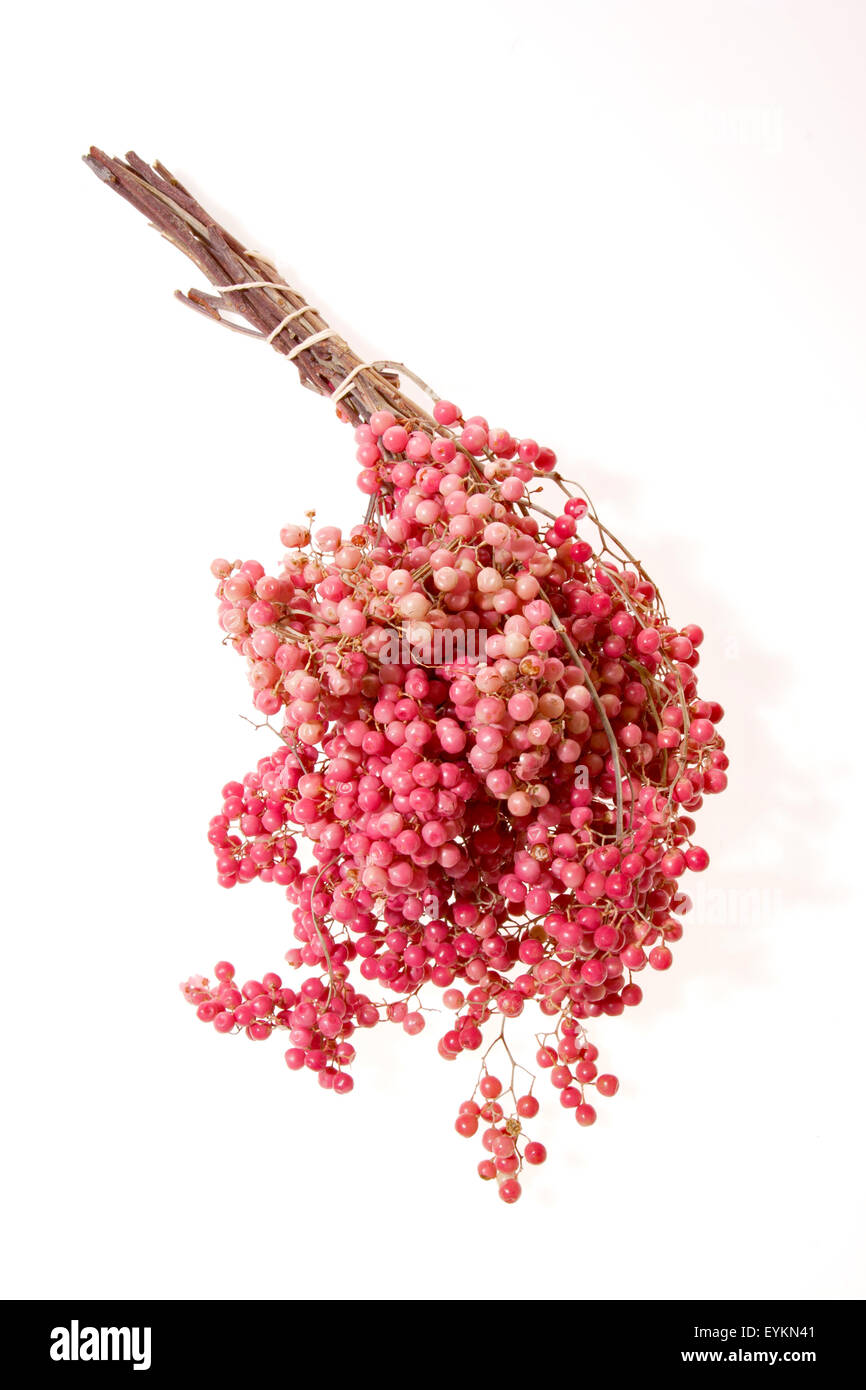 Food, spices, pepper, spices Stock Photo - Alamy