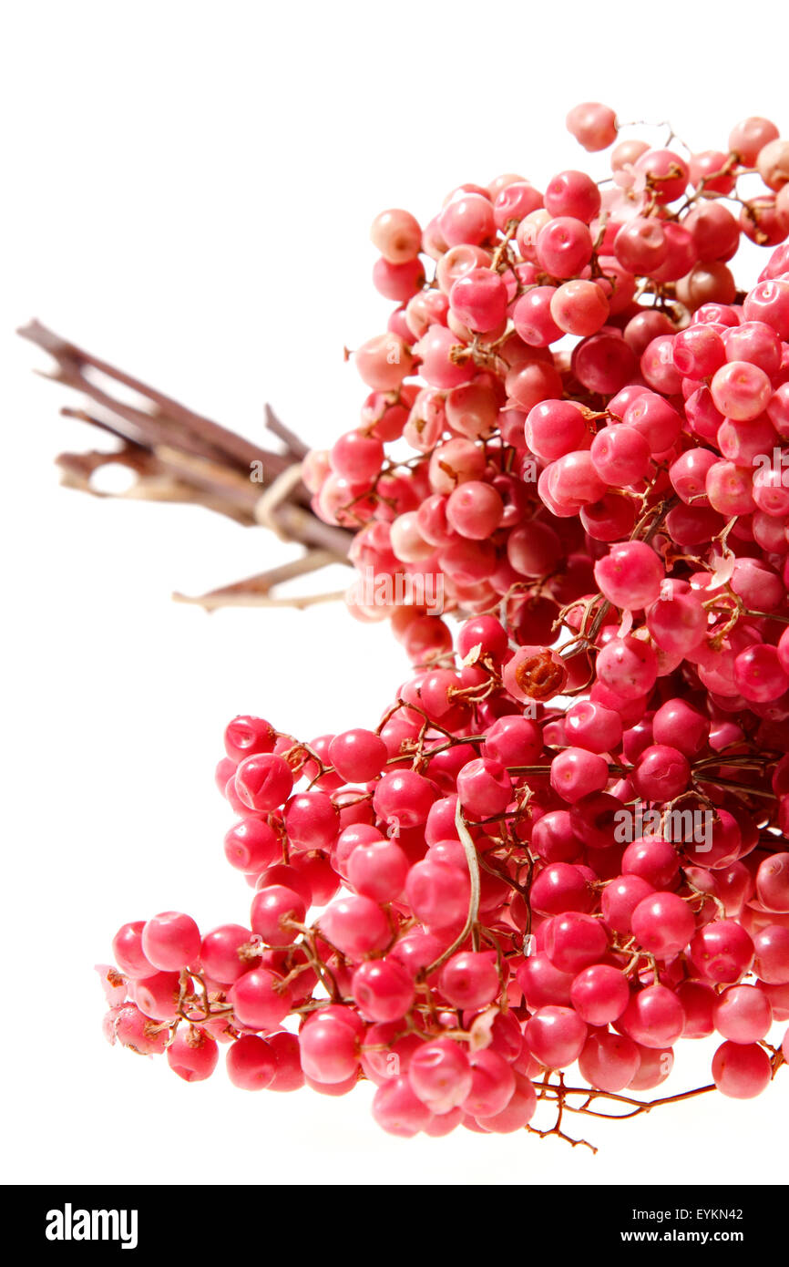 Food, spices, pepper, spices Stock Photo - Alamy