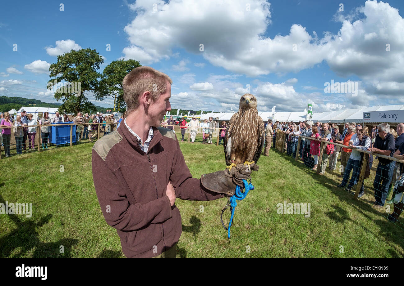 CLA Game Fair 2015 Harewood Stock Photo - Alamy
