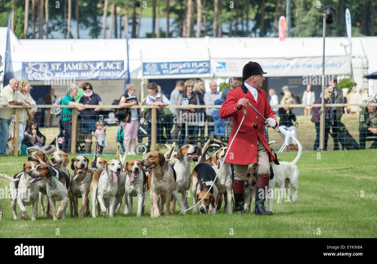 CLA Game Fair 2015 Harewood Stock Photo - Alamy