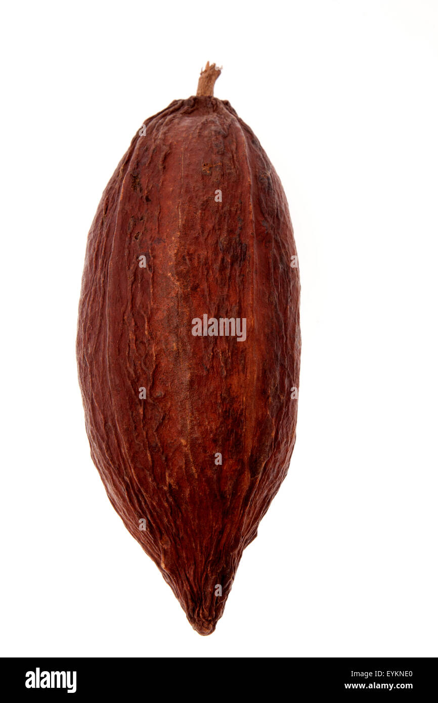 Trade cocoa Cut Out Stock Images & Pictures - Alamy