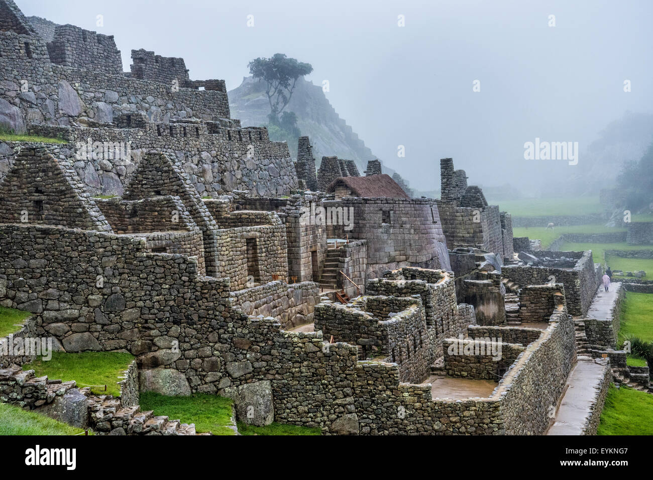 Misty morning at Machu Picchu, Peru Stock Photo - Alamy