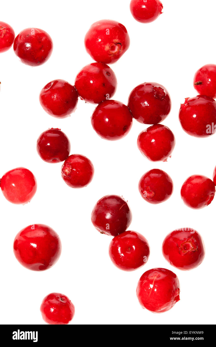 Crane berry Cut Out Stock Images & Pictures - Alamy