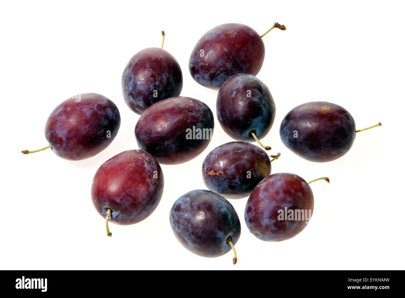 President plum hi-res stock photography and images - Alamy