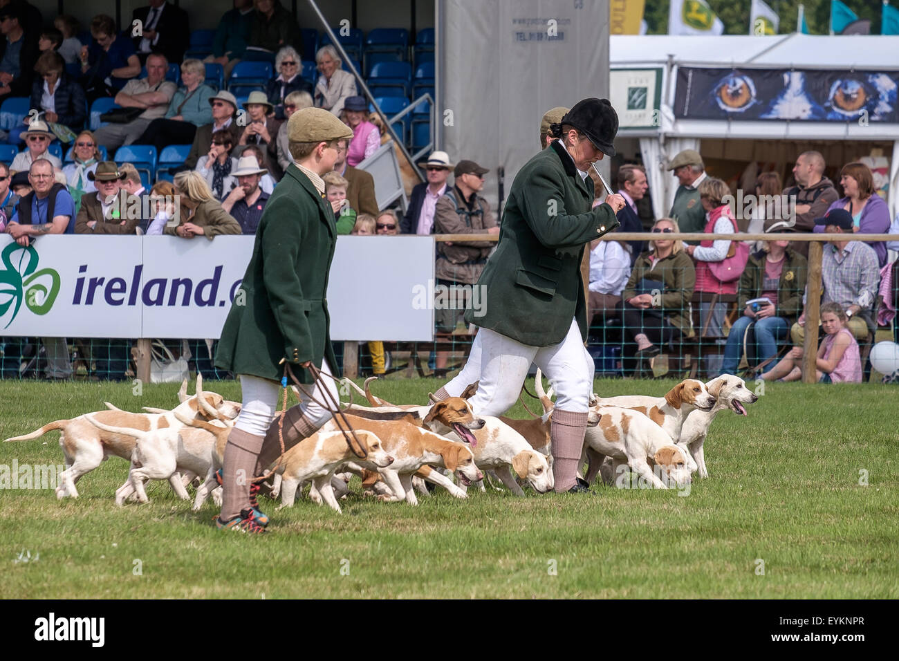 CLA Game Fair 2015 Harewood Stock Photo - Alamy