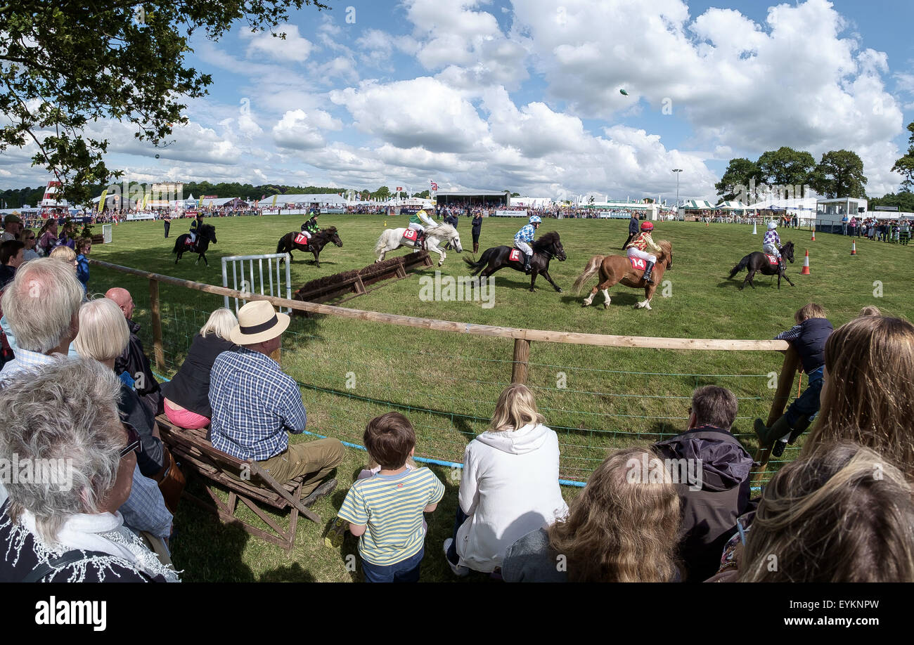 CLA Game Fair 2015 Harewood Stock Photo - Alamy