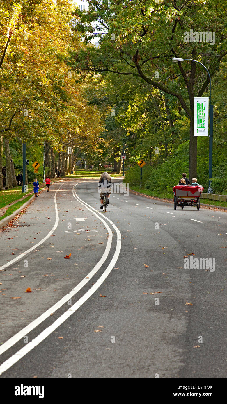 New York, town, bicycle, Central park Stock Photo - Alamy