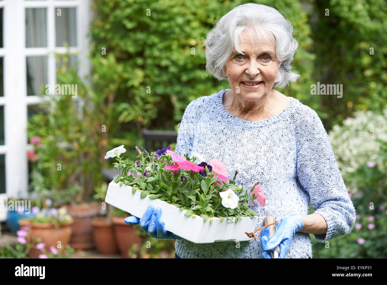 Female planting flowers hi-res stock photography and images - Alamy