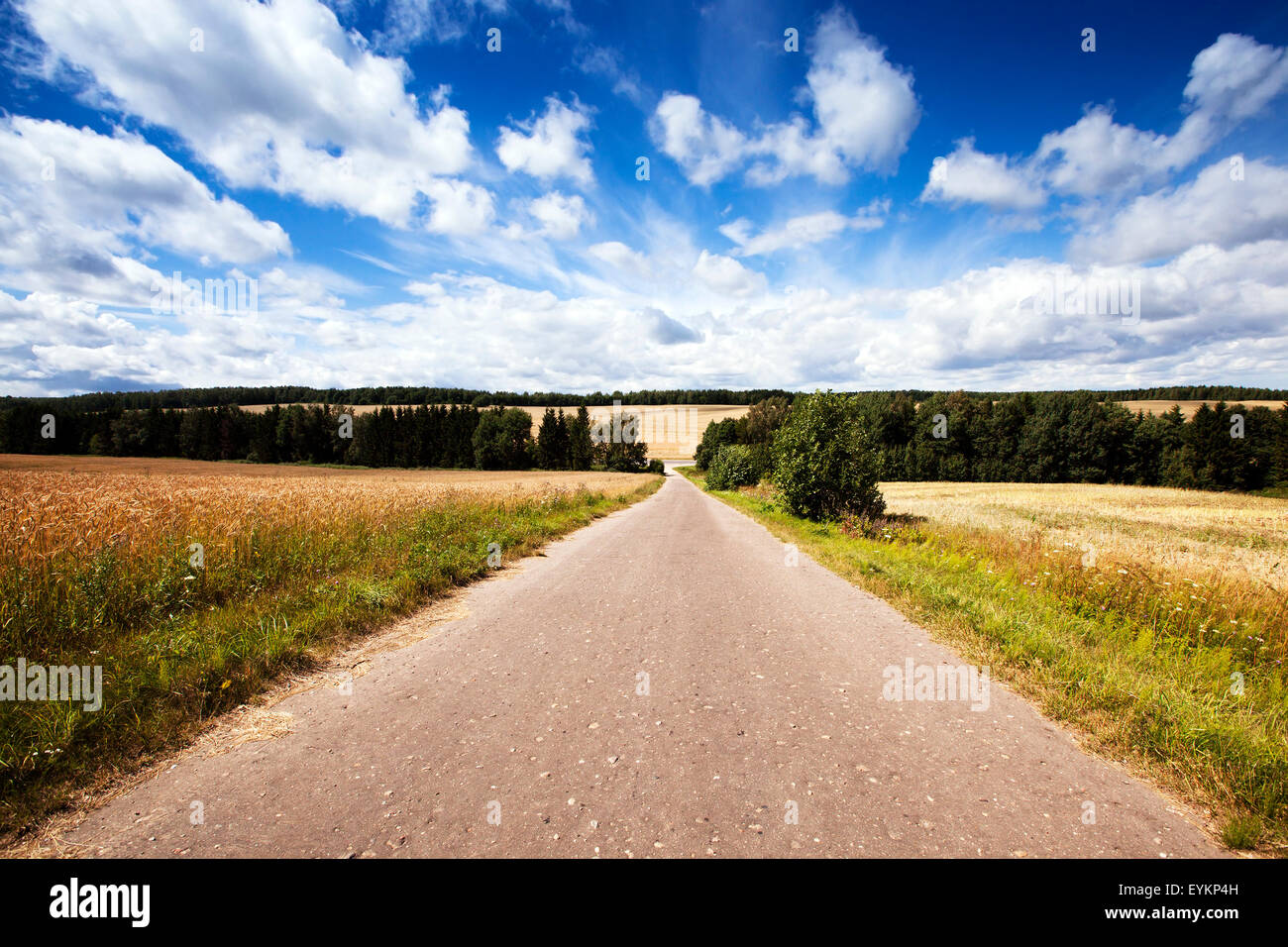 the asphalted road Stock Photo - Alamy