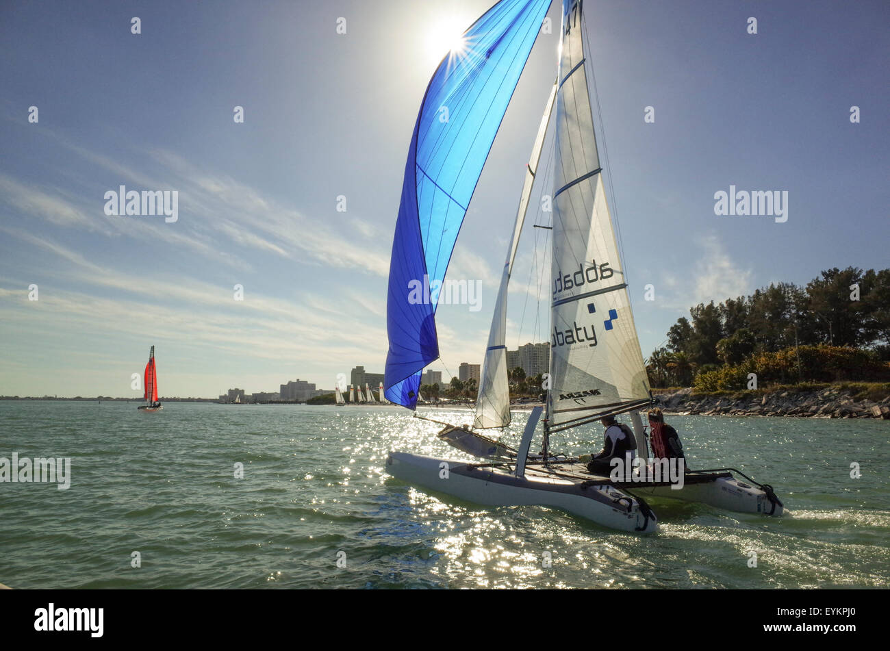 Catamaran racing on Clearwater Harbor, Florida Stock Photo - Alamy