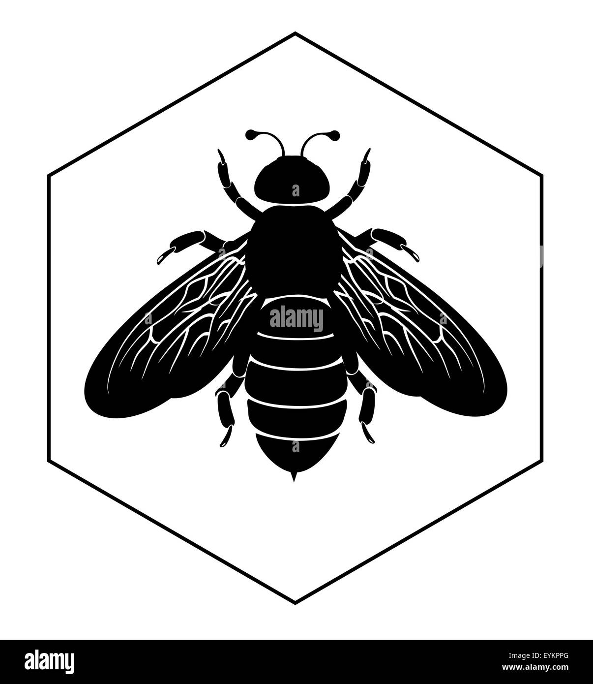 Bee honey icon in Black and White Stock Photos & Images - Alamy