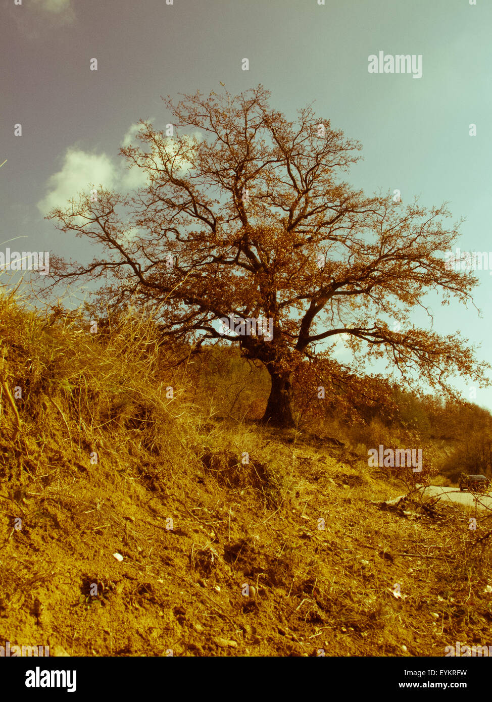 Slump landslide hi-res stock photography and images - Alamy