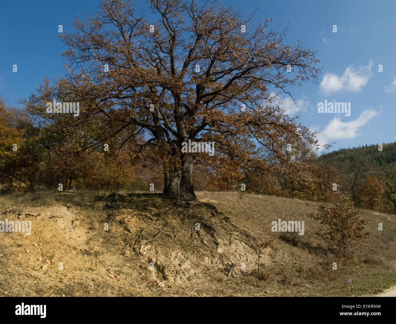 Slump landslide hi-res stock photography and images - Alamy