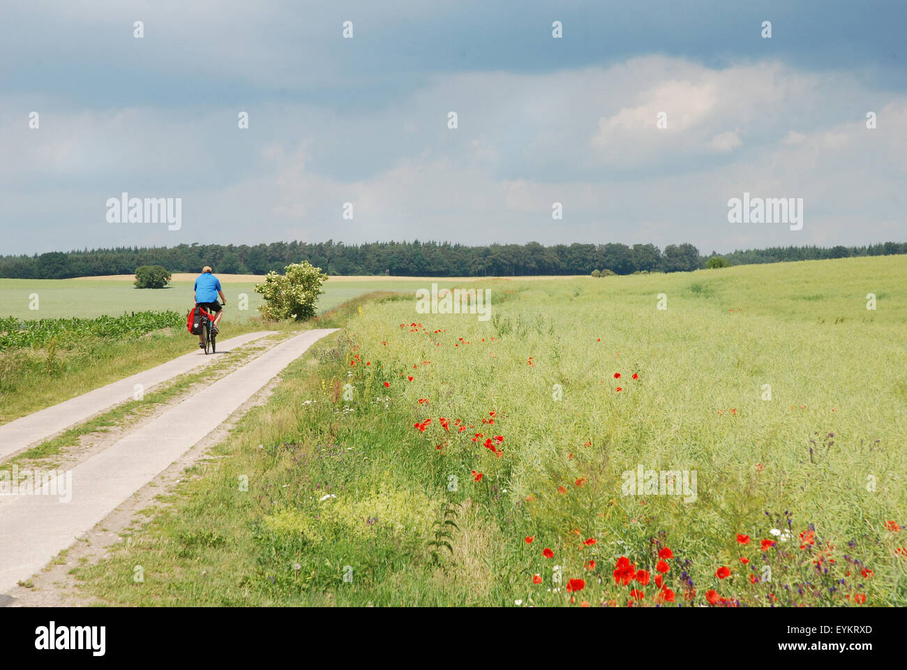 Cyclist, cycle track by fields Stock Photo - Alamy