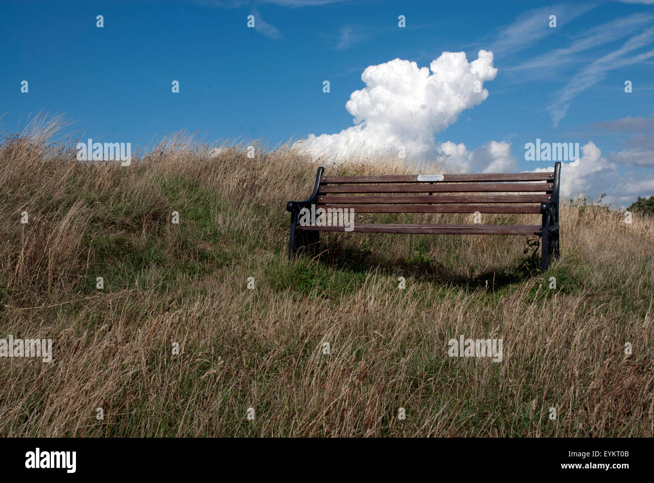 Wooden bench on cliff top Clevedon, Somerset, England UK Stock Photo ...