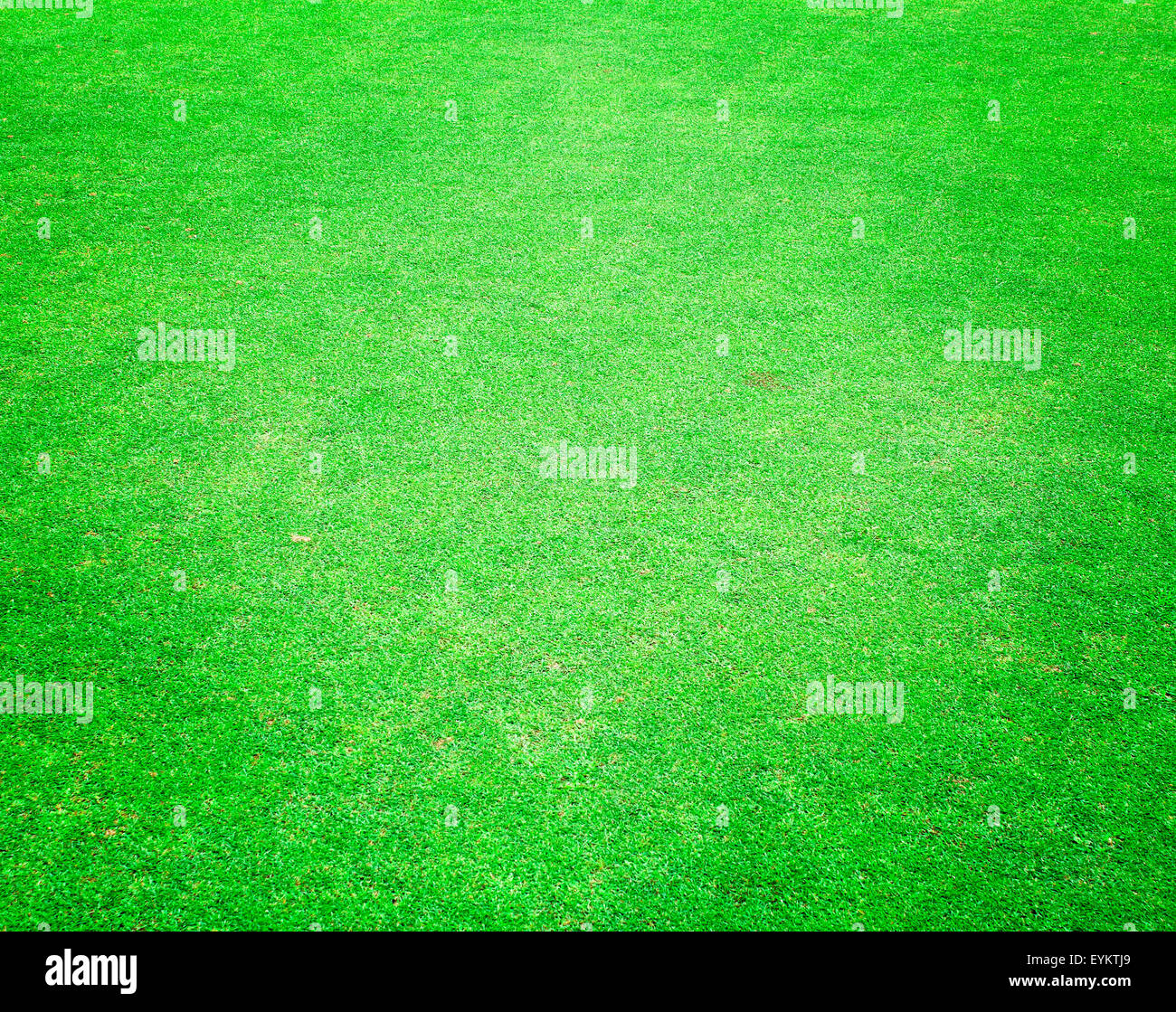 Golf Green Grass background pattern background texture Stock Photo - Alamy
