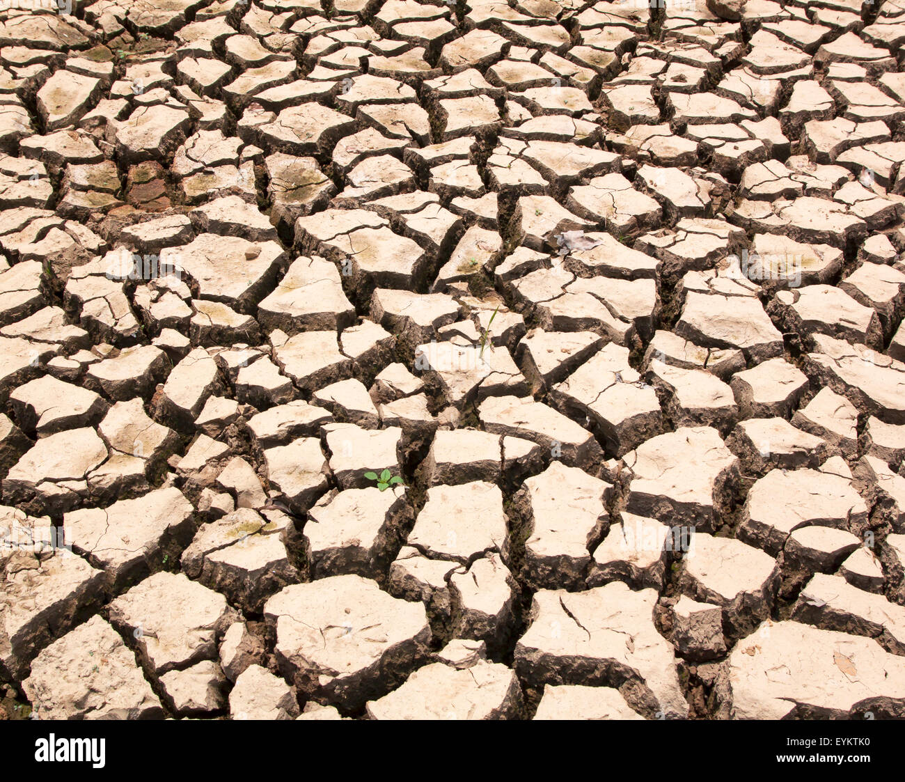 Dry cracked ground natural drought Texture background Stock Photo - Alamy