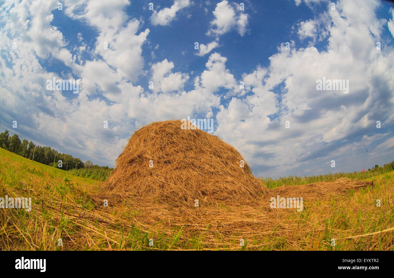 haystack in field against blue sky summer nature landscape Stock Photo ...