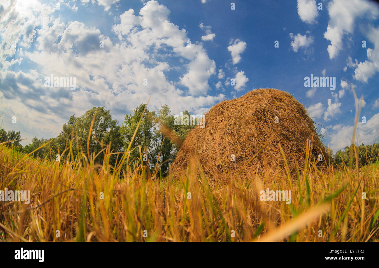haystack in field against blue sky summer nature landscape Stock Photo ...