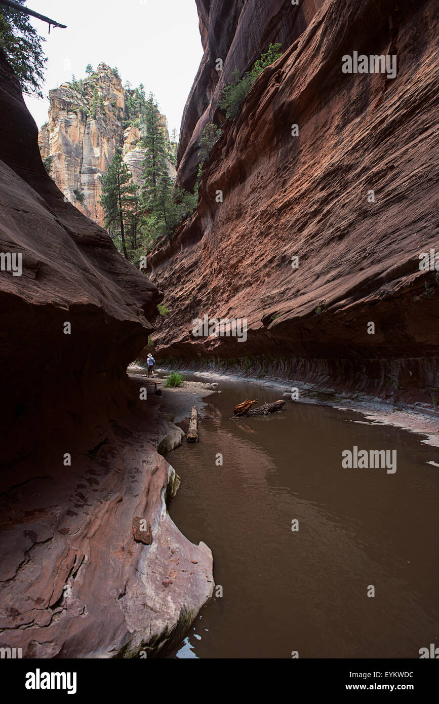 Walking by a creek hi-res stock photography and images - Alamy