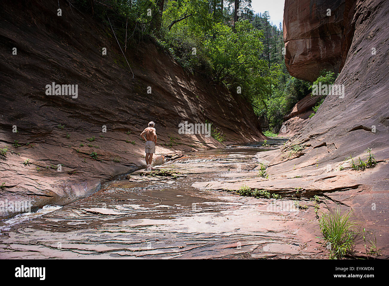 The west fork of the Oak Creek Canyon trail Stock Photo - Alamy