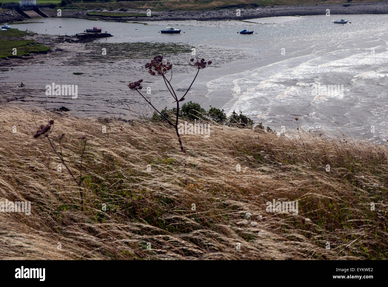 Windy cliff top Clevedon Somerset England UK Stock Photo - Alamy