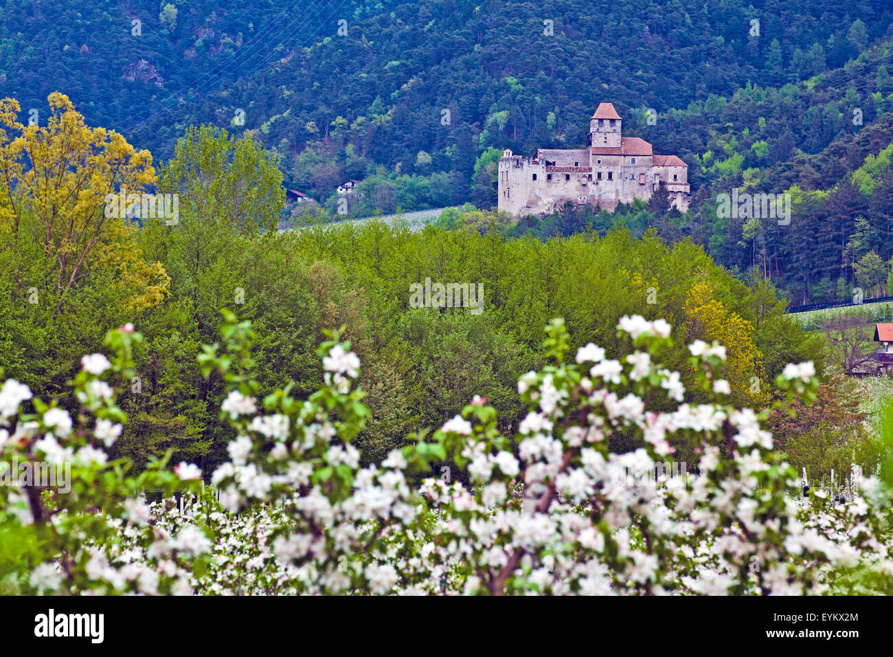 Castle in South Tirol Stock Photo - Alamy