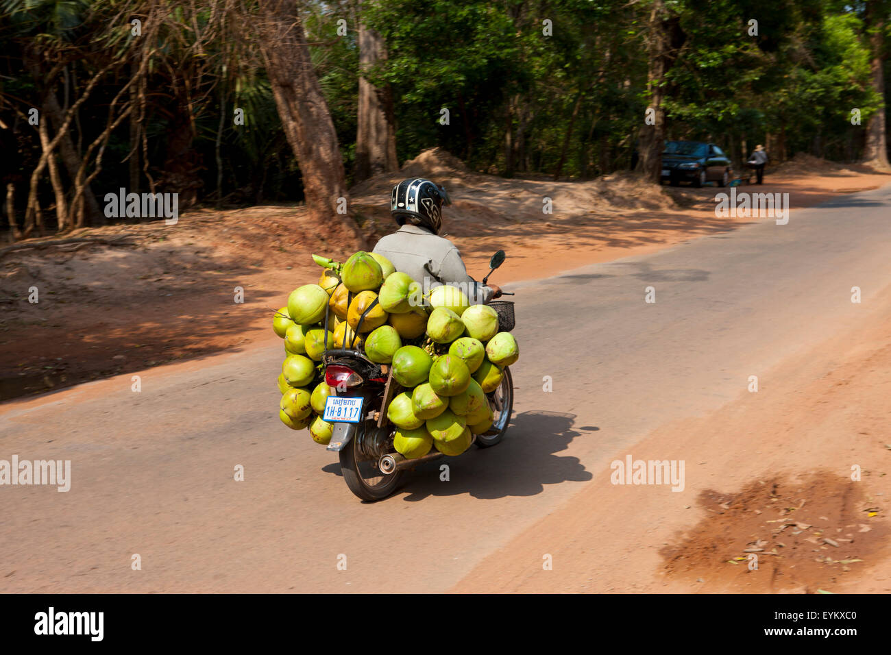 Cambodia, transport of coconuts by motorbike Stock Photo - Alamy