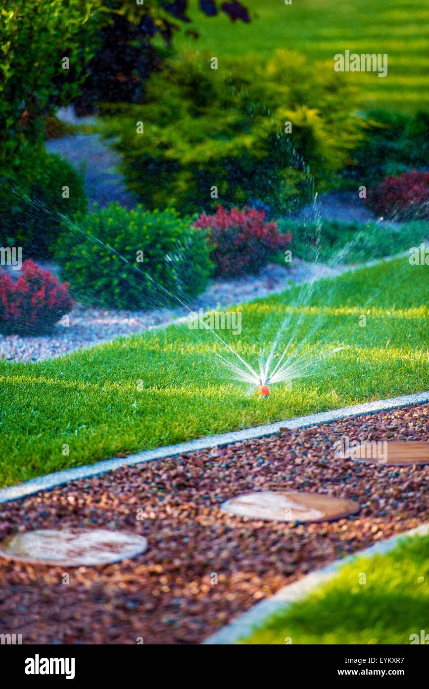 Backyard Garden Automatic Watering System. Beautiful Newly Designed ...