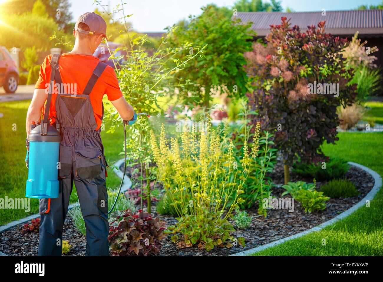 Gardener with Pests Spray. Spring Work in Garden Stock Photo - Alamy