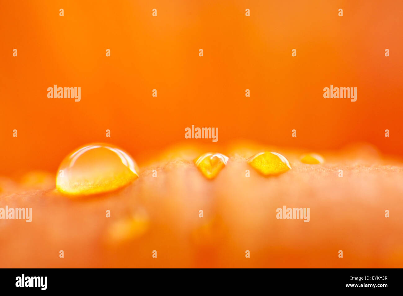 Moisture abstract orange hi-res stock photography and images - Alamy