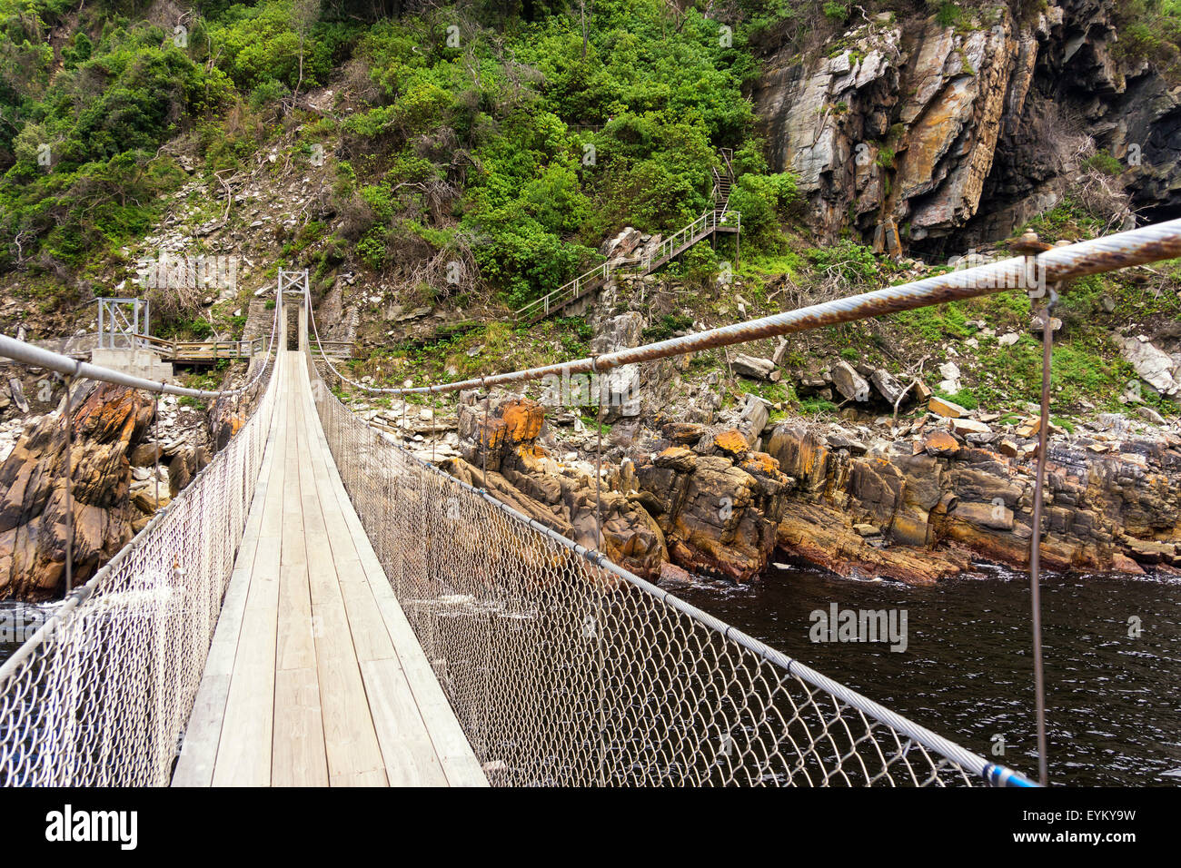 South Africa, Tsitsikamma national park, suspension bridge about the ...