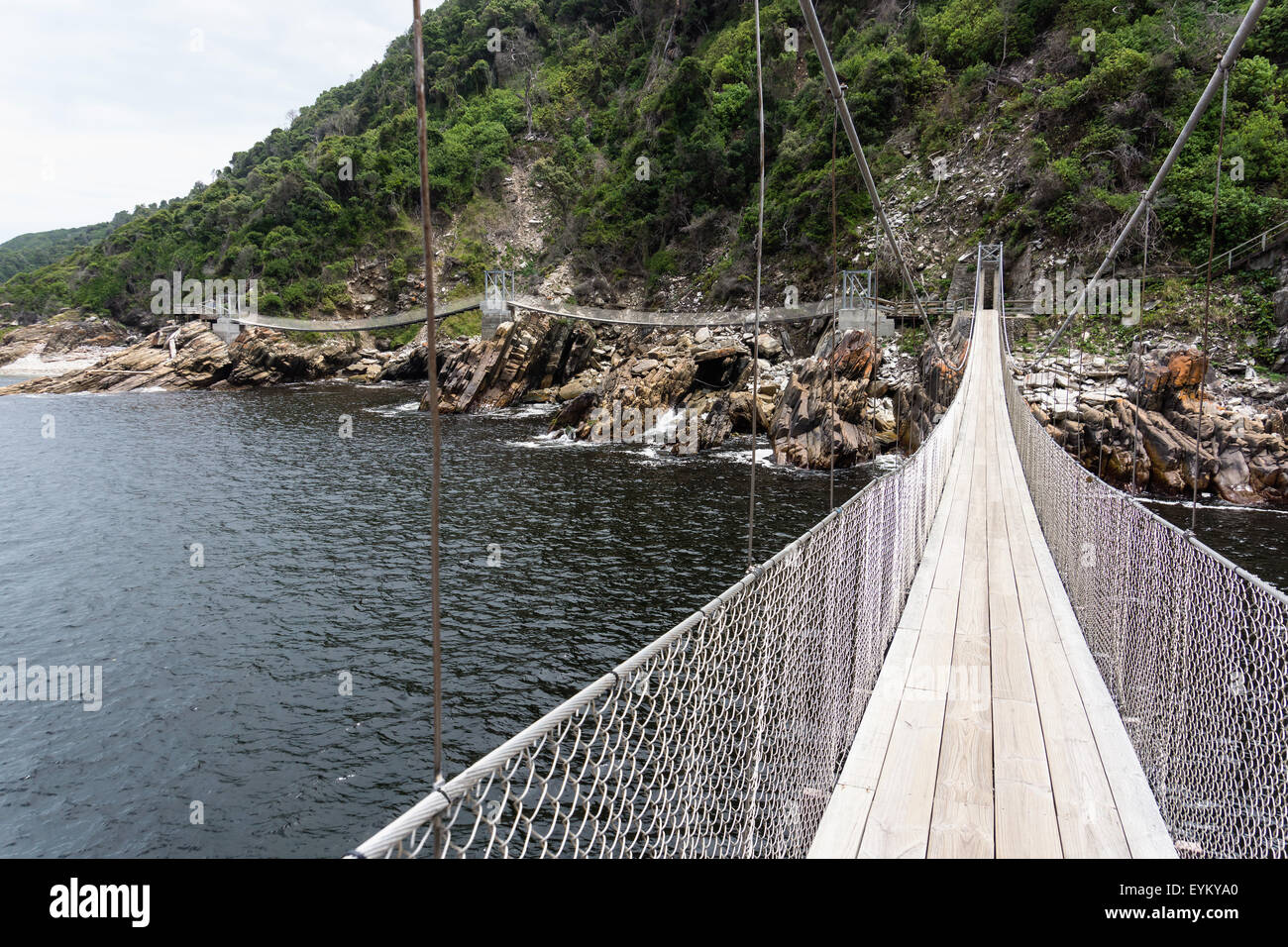 South Africa, Tsitsikamma national park, Storms River, suspension ...
