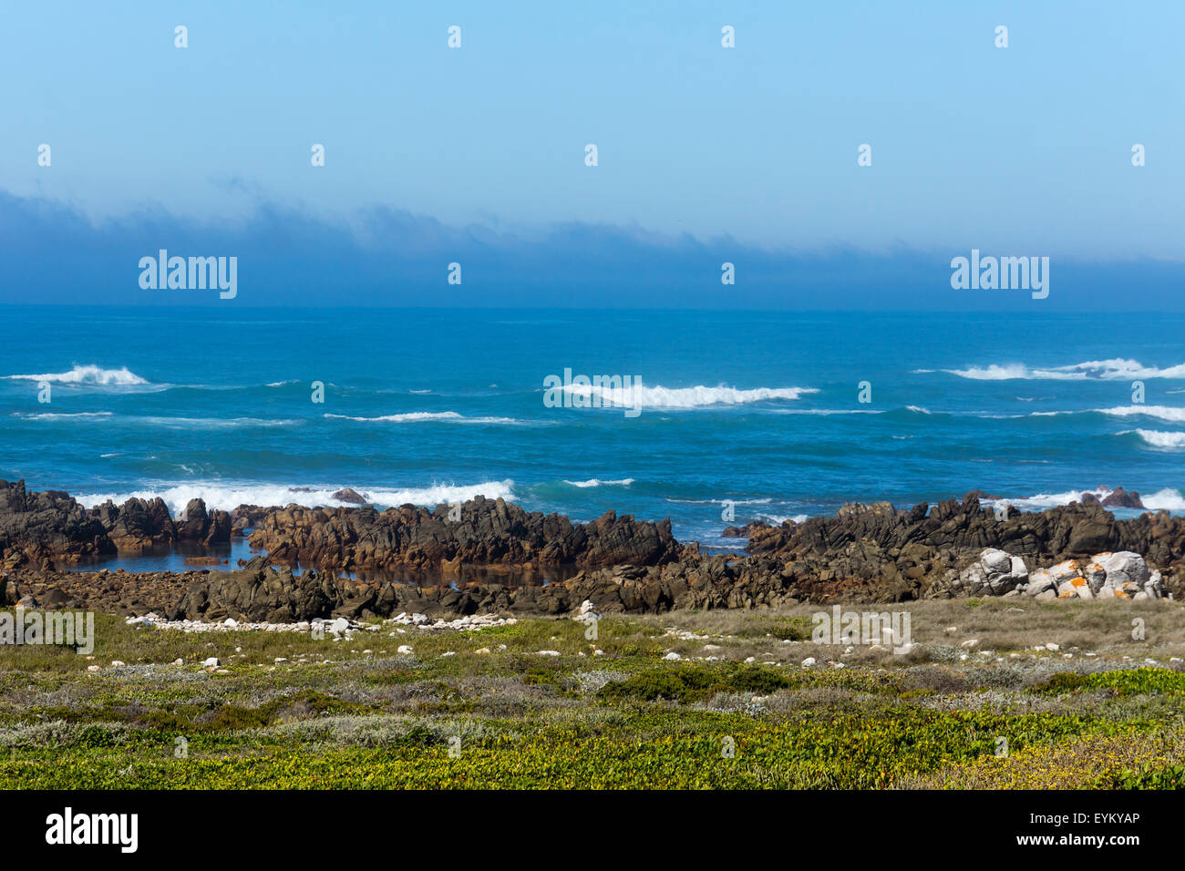 South Africa, guards route, cape Agulhas, sea fog Stock Photo - Alamy