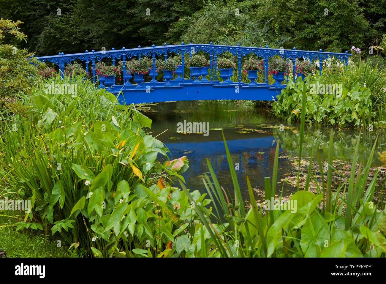 Upper lukewarm seat hi-res stock photography and images - Alamy