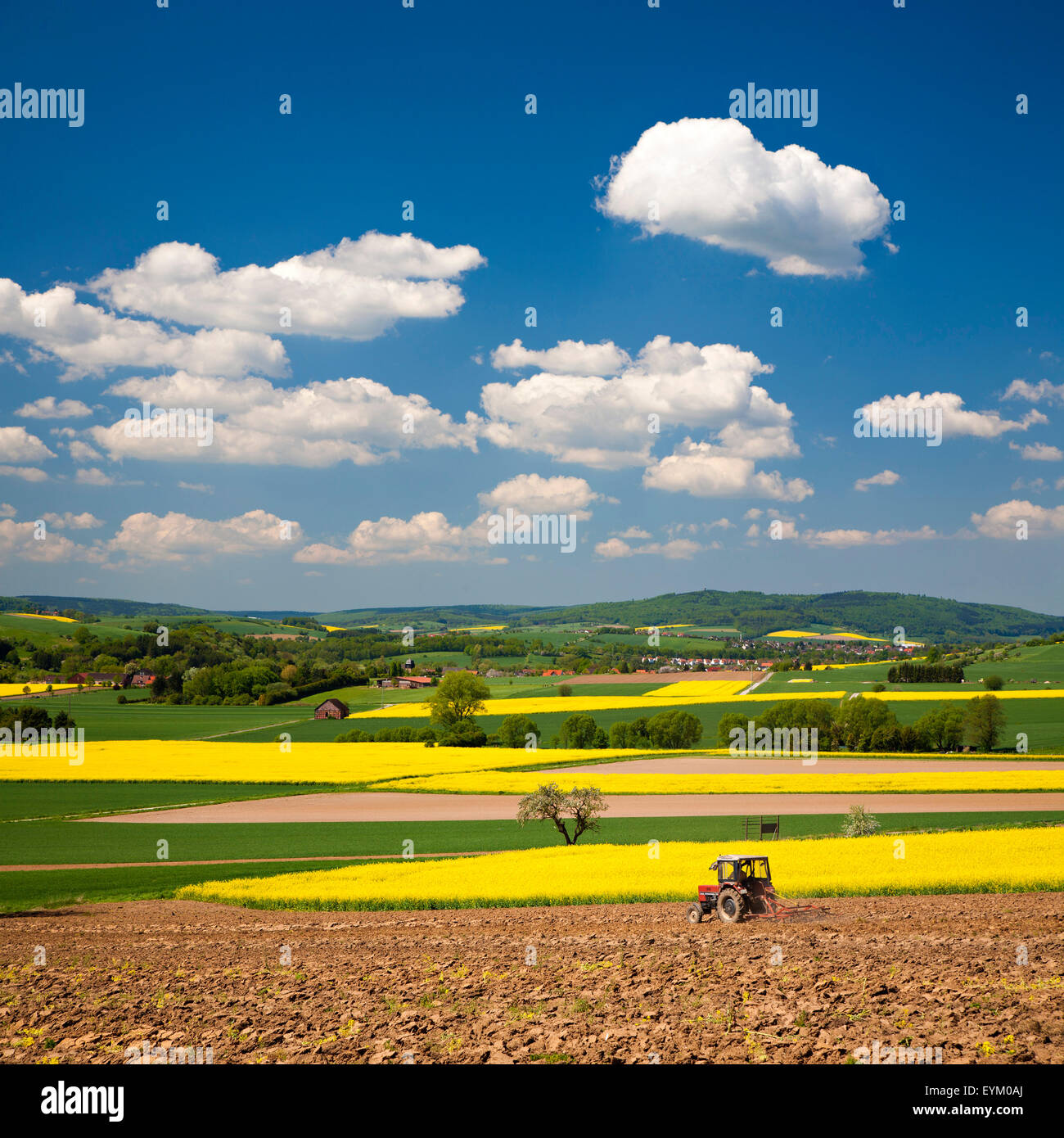 Germany, Lower Saxony, Solling, spring scenery Stock Photo - Alamy
