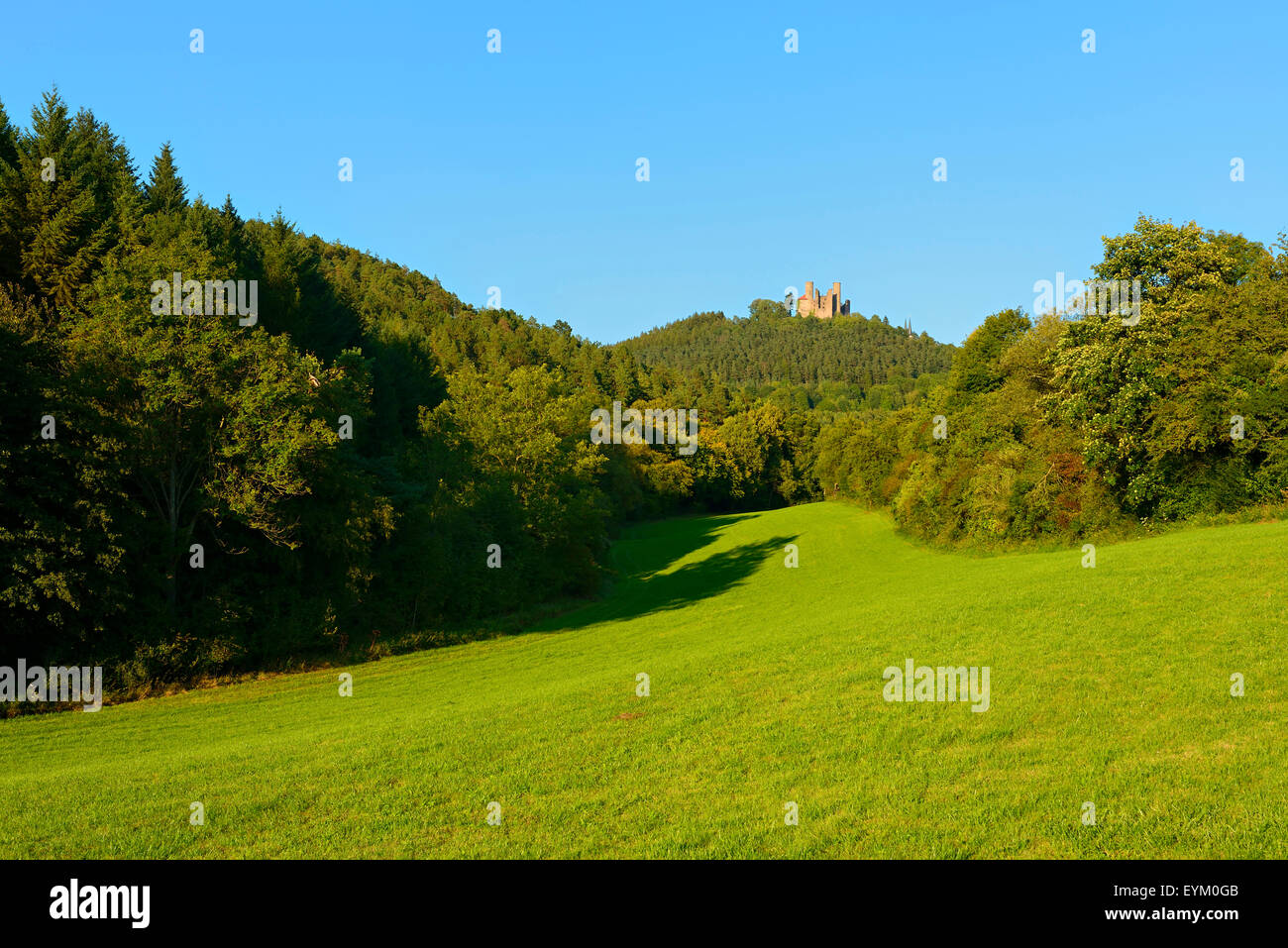 Germany, Thuringia, field Eichs, castle Hanstein Stock Photo - Alamy