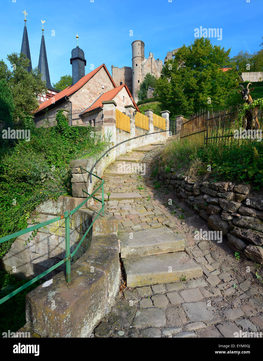 Germany, Thuringia, field Eichs, brook Rim and castle Hanstein Stock ...