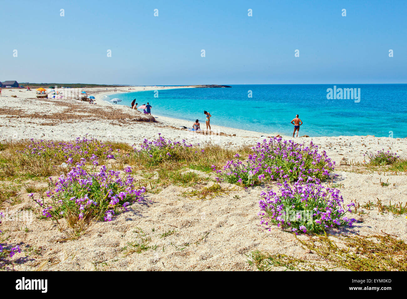 Rice grain beach hi-res stock photography and images - Alamy