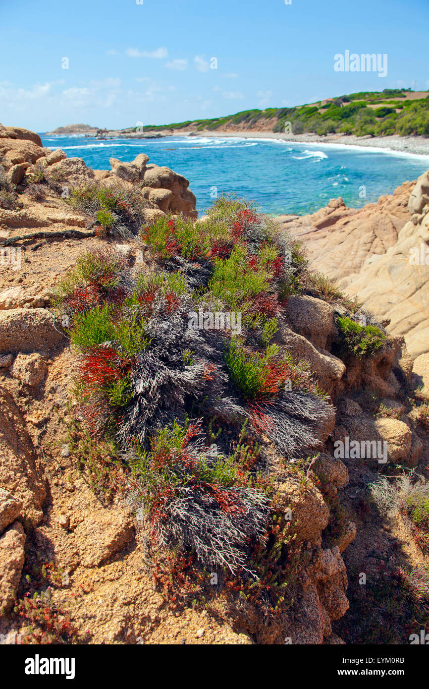 Sardinia, bay at Capo Pecora Stock Photo - Alamy