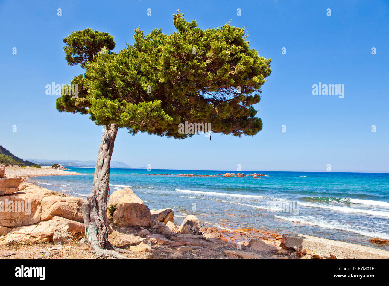 Gairo hi-res stock photography and images - Alamy